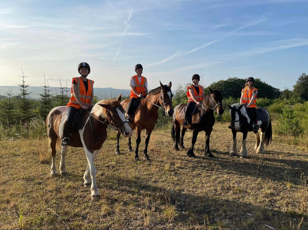 Horse riding centre | Lads Lodge Riding Centre