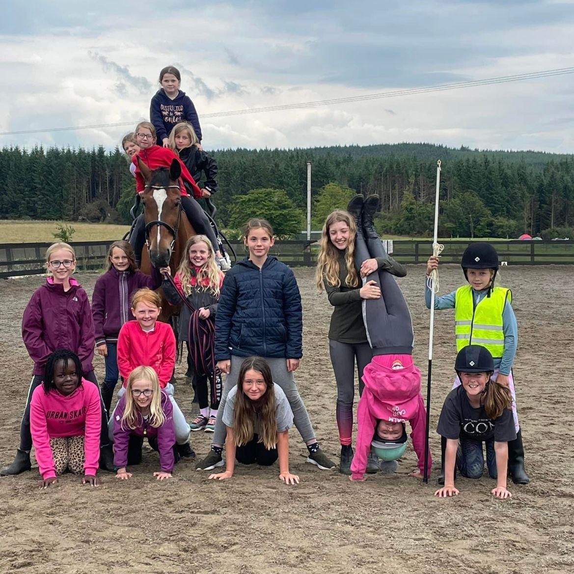 Horse riding centre | Lads Lodge Riding Centre