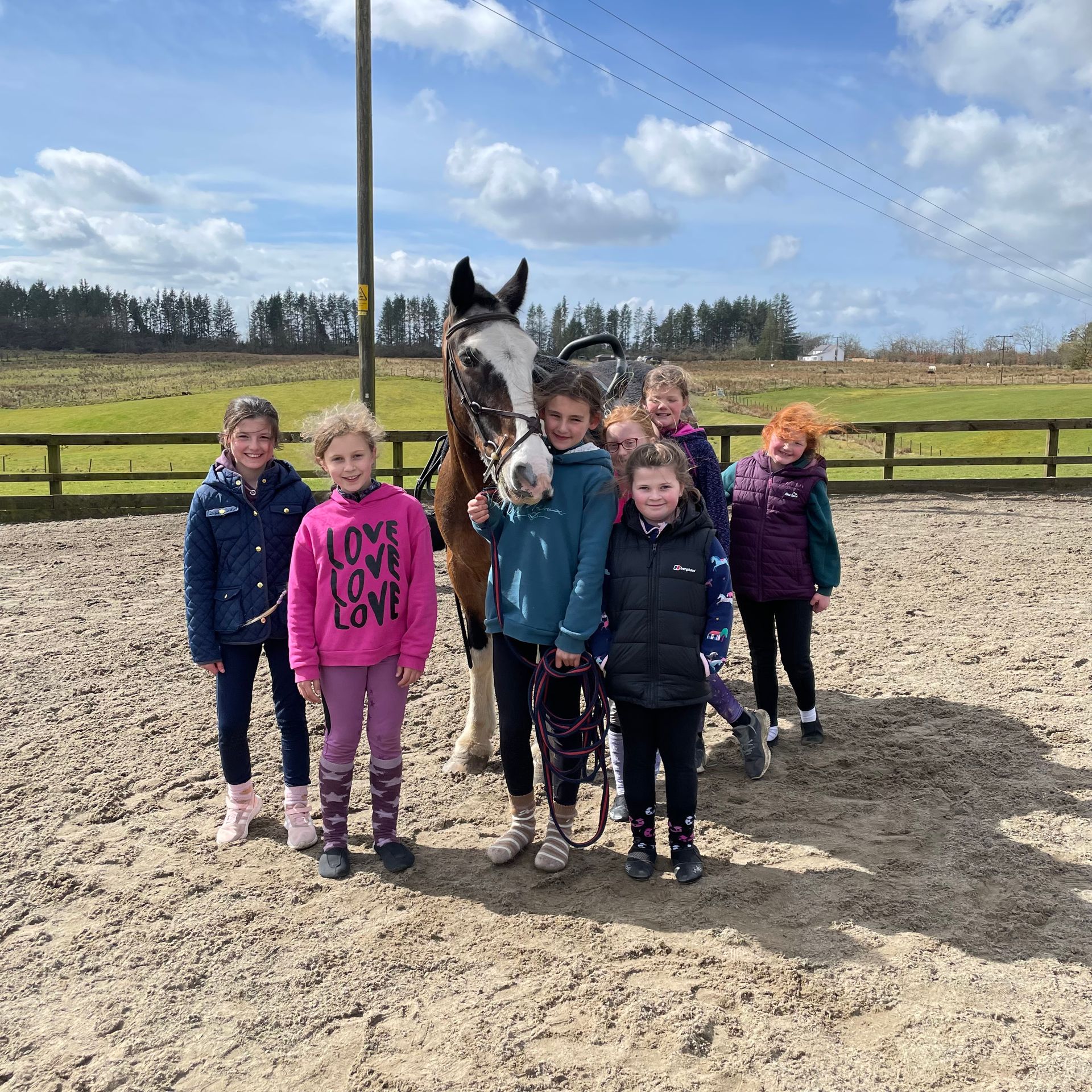 Horse riding centre | Lads Lodge Riding Centre