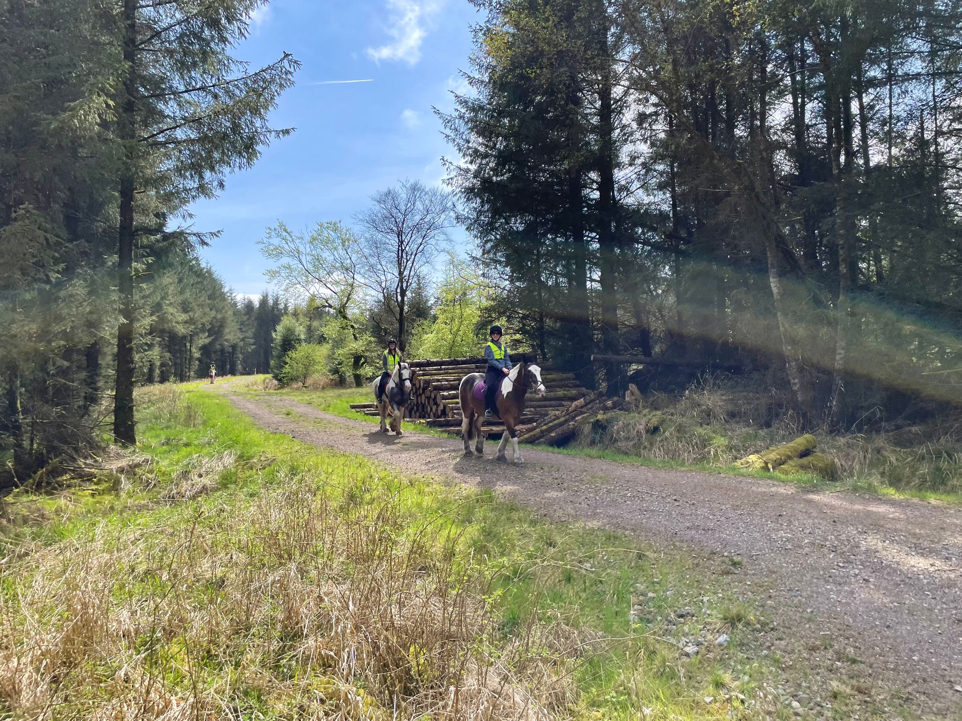 Riding holidays | Lads Lodge Riding Centre