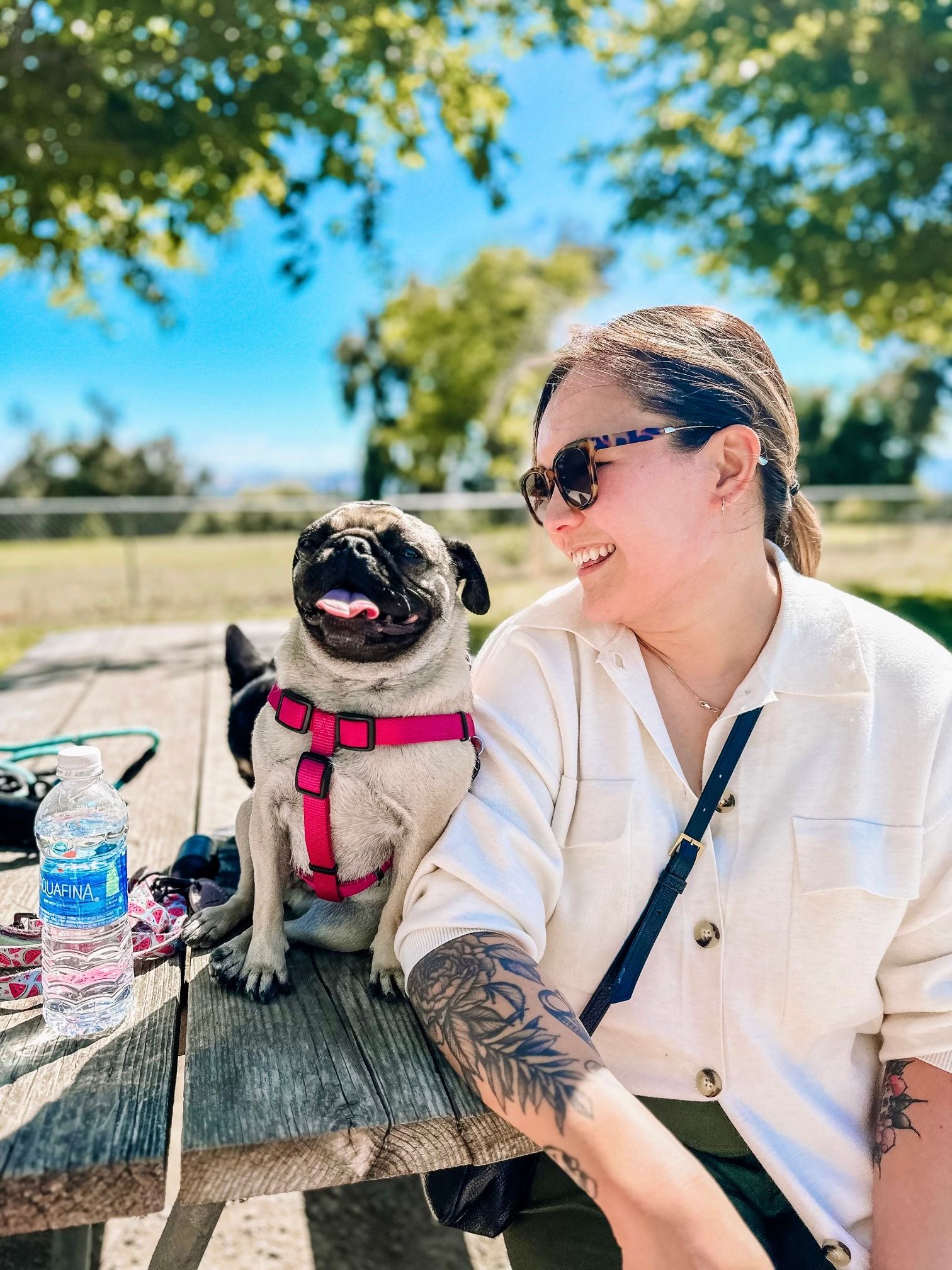 About Us | Tiny Paws Pug Rescue