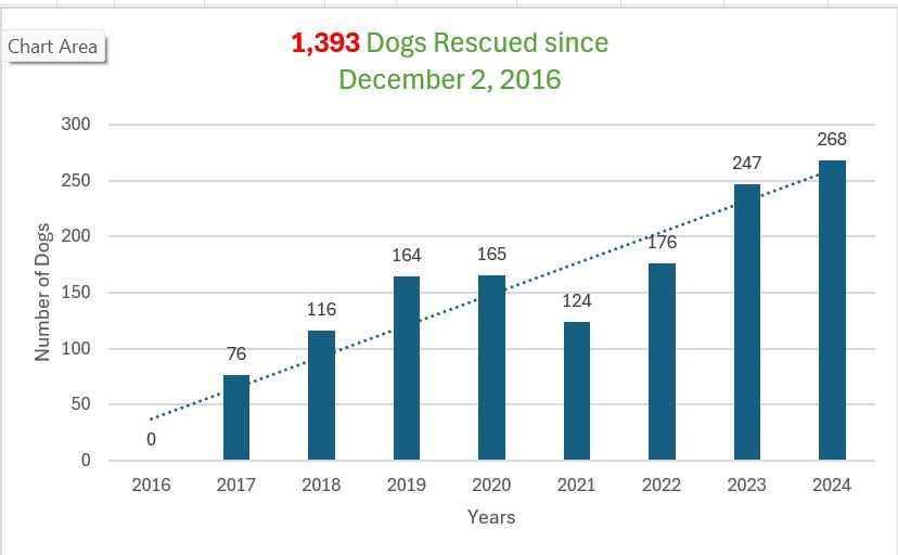 Pug Rescue | Tiny Paws Pug Rescue | CA