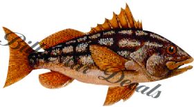 Custom Decals | Decal Connection | Fishing Rod