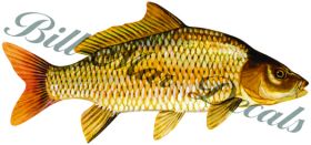 Custom Decals | Decal Connection | Fishing Rod