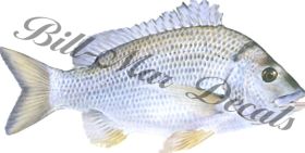 Custom Decals | Decal Connection | Fishing Rod