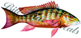 Custom Decals | Decal Connection | Fishing Rod