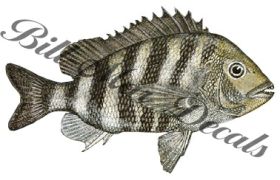 Custom Decals | Decal Connection | Fishing Rod