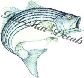 Custom Decals | Decal Connection | Fishing Rod