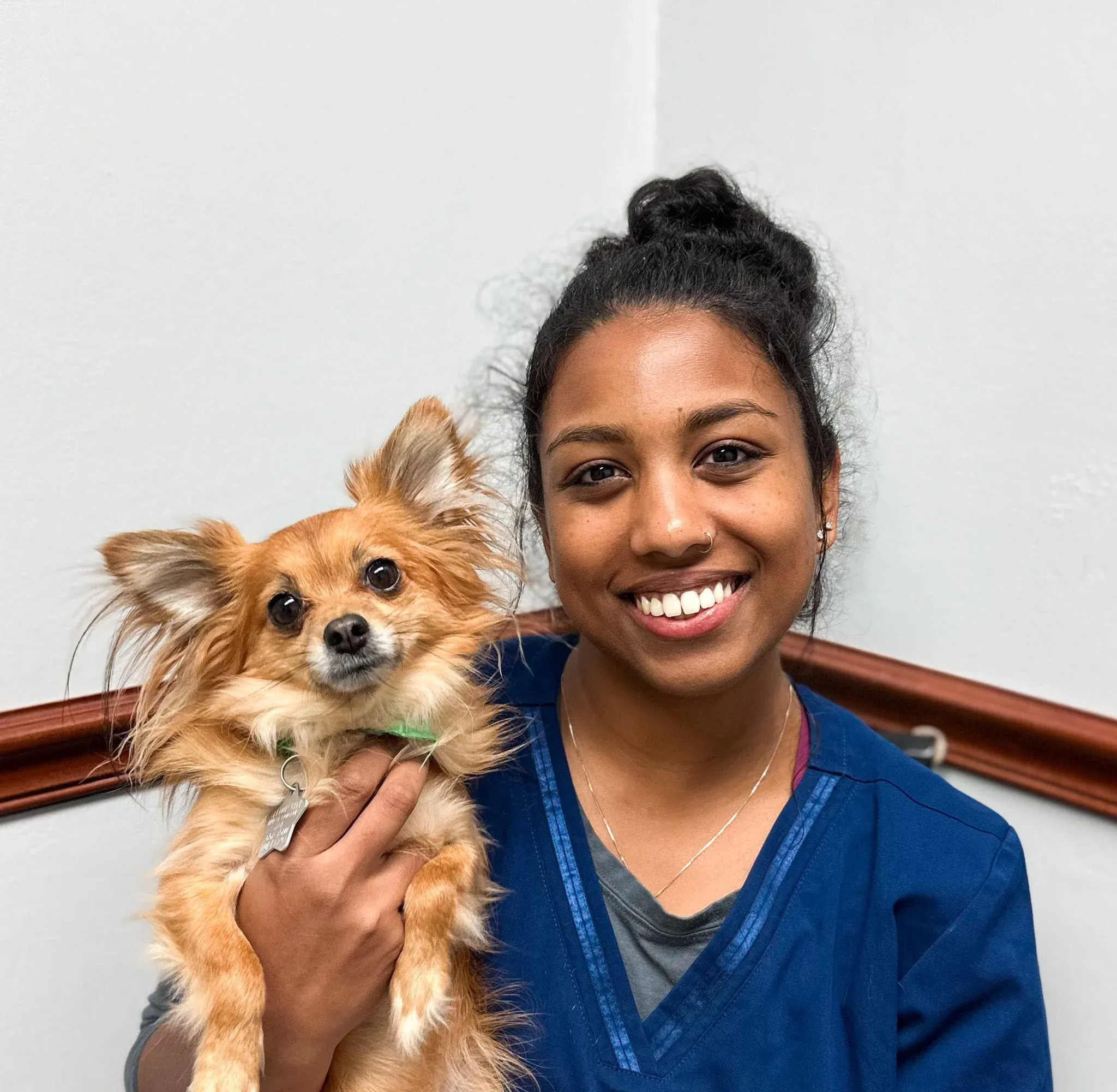 Pet Health Facility | St Louis, MO