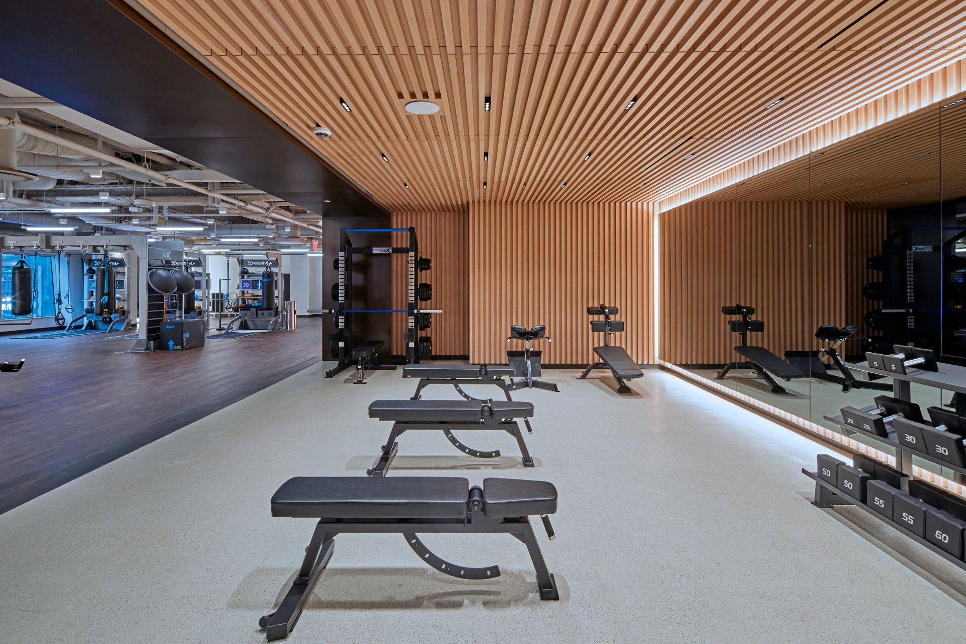 Colored Glass | Colored Mirror | TCG Glass