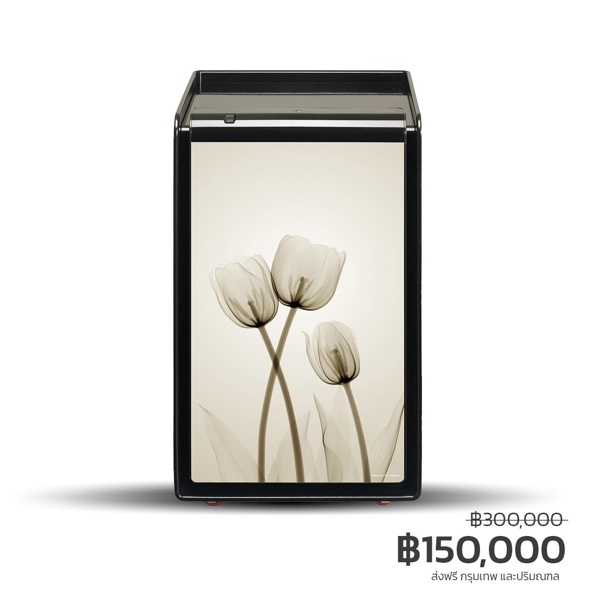 Premium Home Safes LUCELL