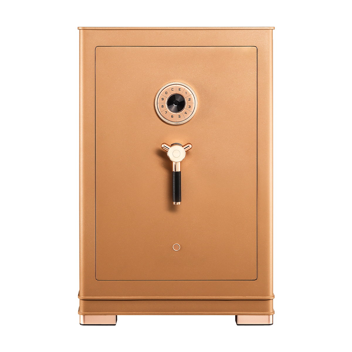 Finger Scan Safe : FWS