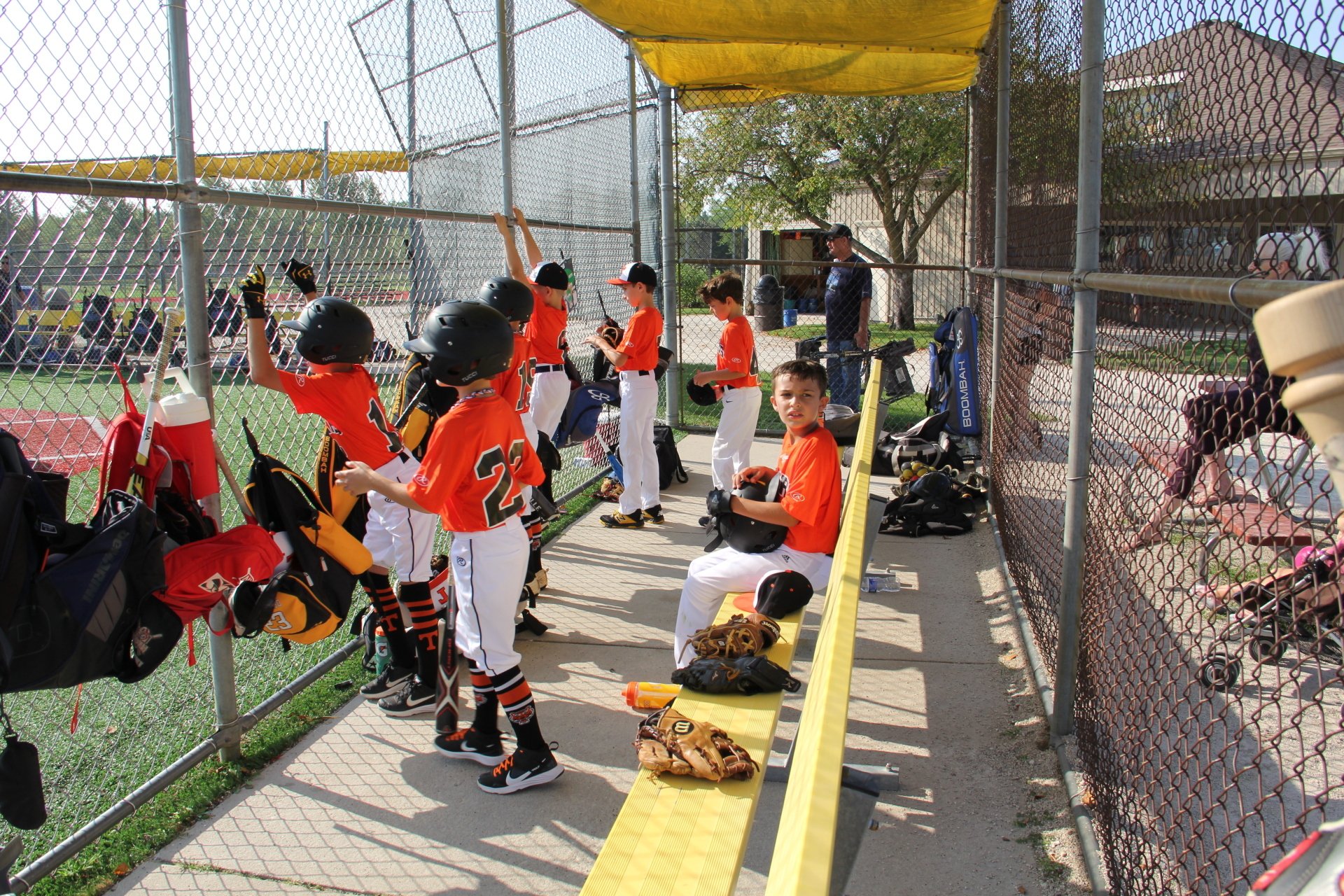 Rawlings Tigers Northern Illinois - Travel Baseball & Softball Club