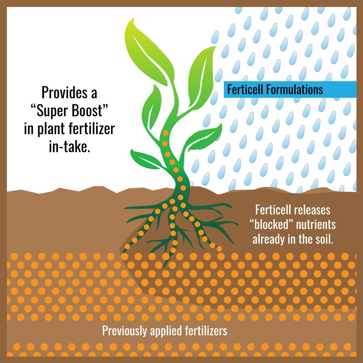 Ferticell® | How it Works