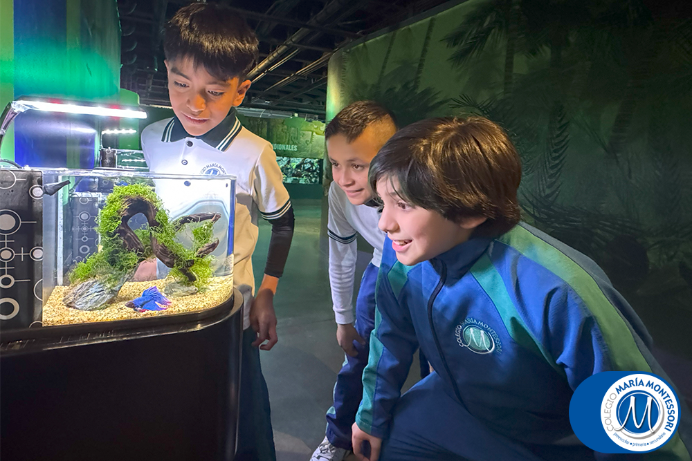 Visita Acuario Michin / Primaria