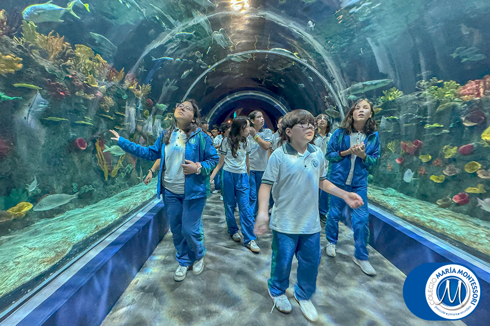 Visita Acuario Michin / Primaria
