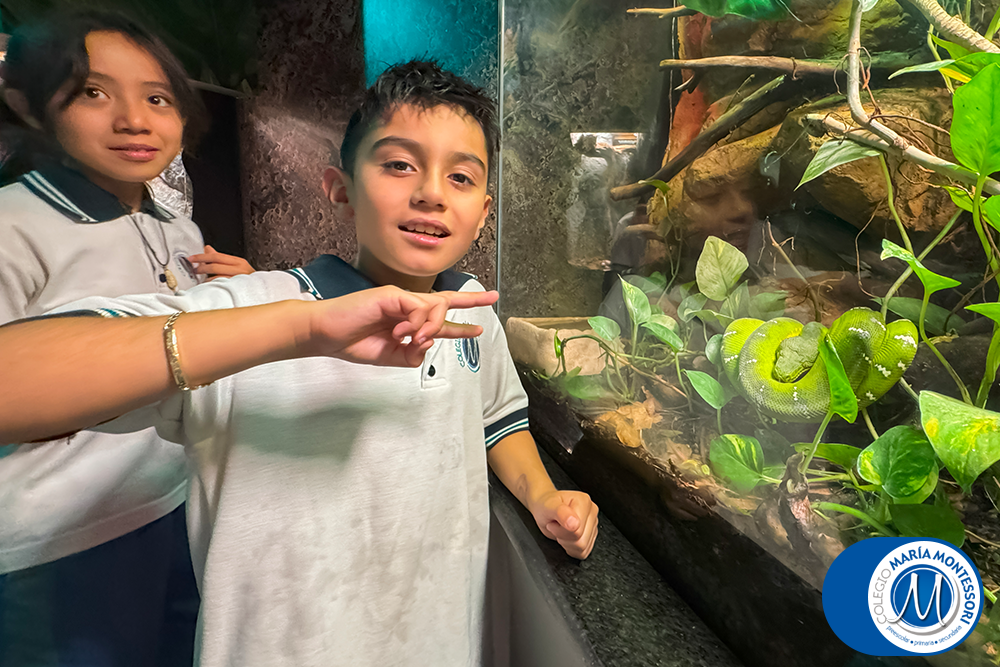 Visita Acuario Michin / Primaria