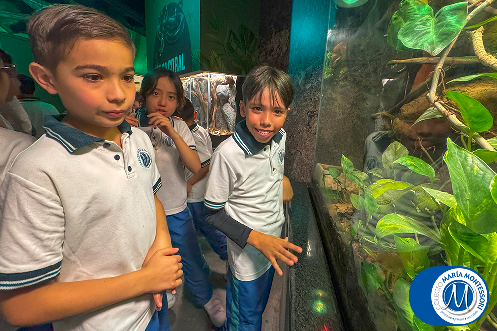 Visita Acuario Michin / Primaria