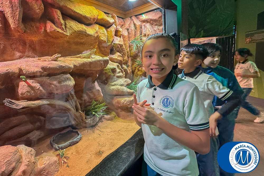 Visita Acuario Michin / Primaria