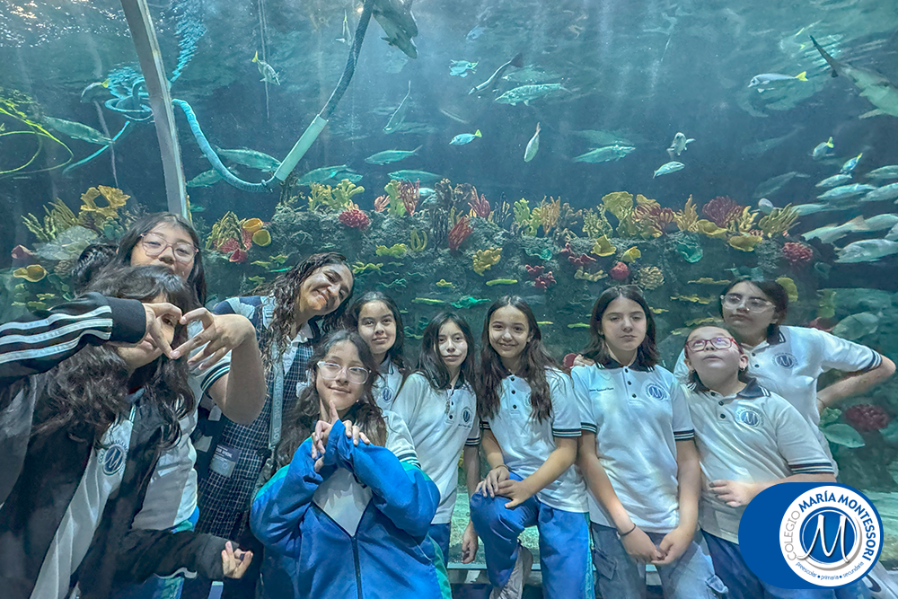 Visita Acuario Michin / Primaria