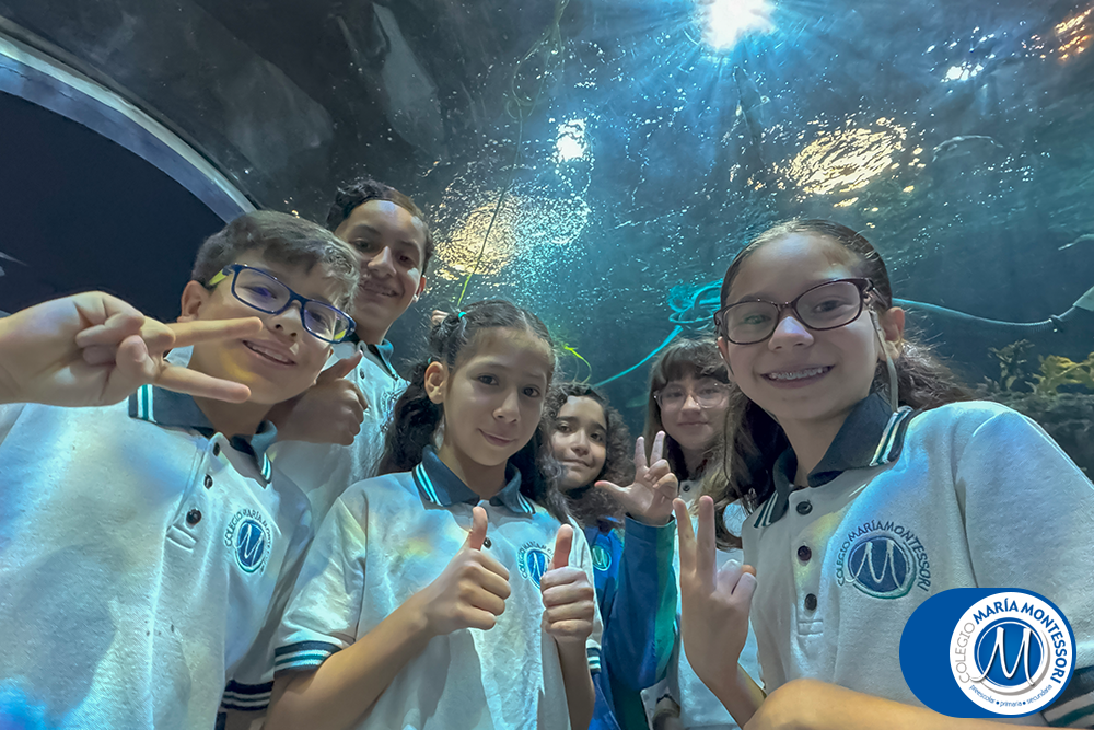 Visita Acuario Michin / Primaria