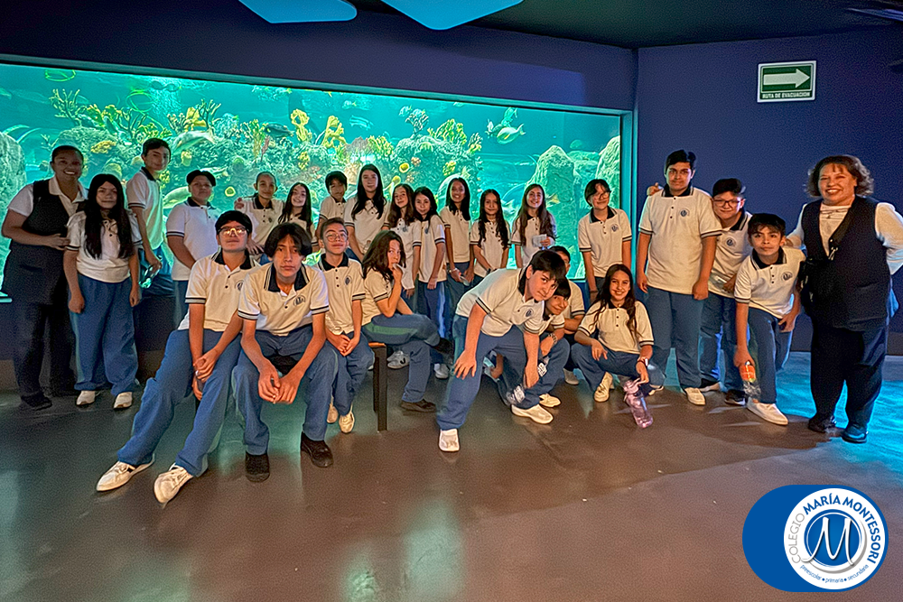 Visita Acuario Michin / Primaria