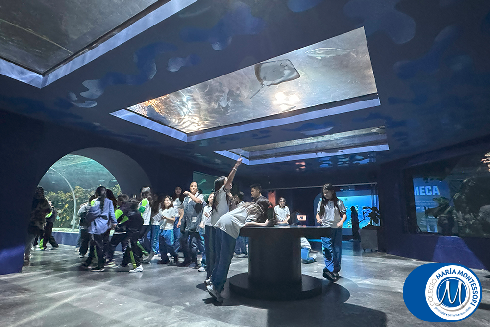Visita Acuario Michin / Primaria