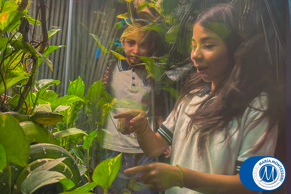 Visita Acuario Michin / Primaria