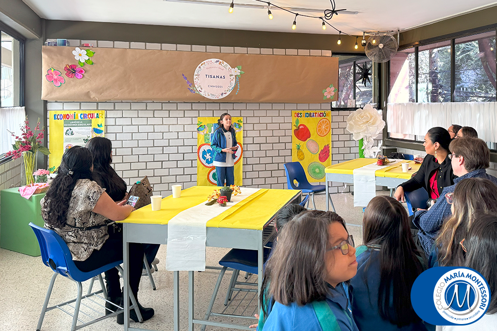 Clases abiertas / Primaria