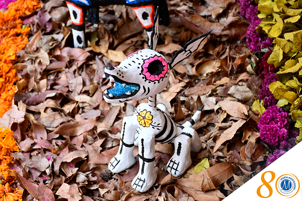 Exposición “Un viaje al otro mundo”