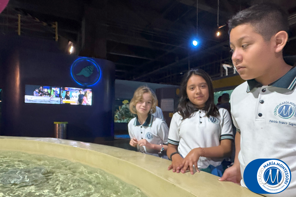 Visita Acuario Michin / Primaria