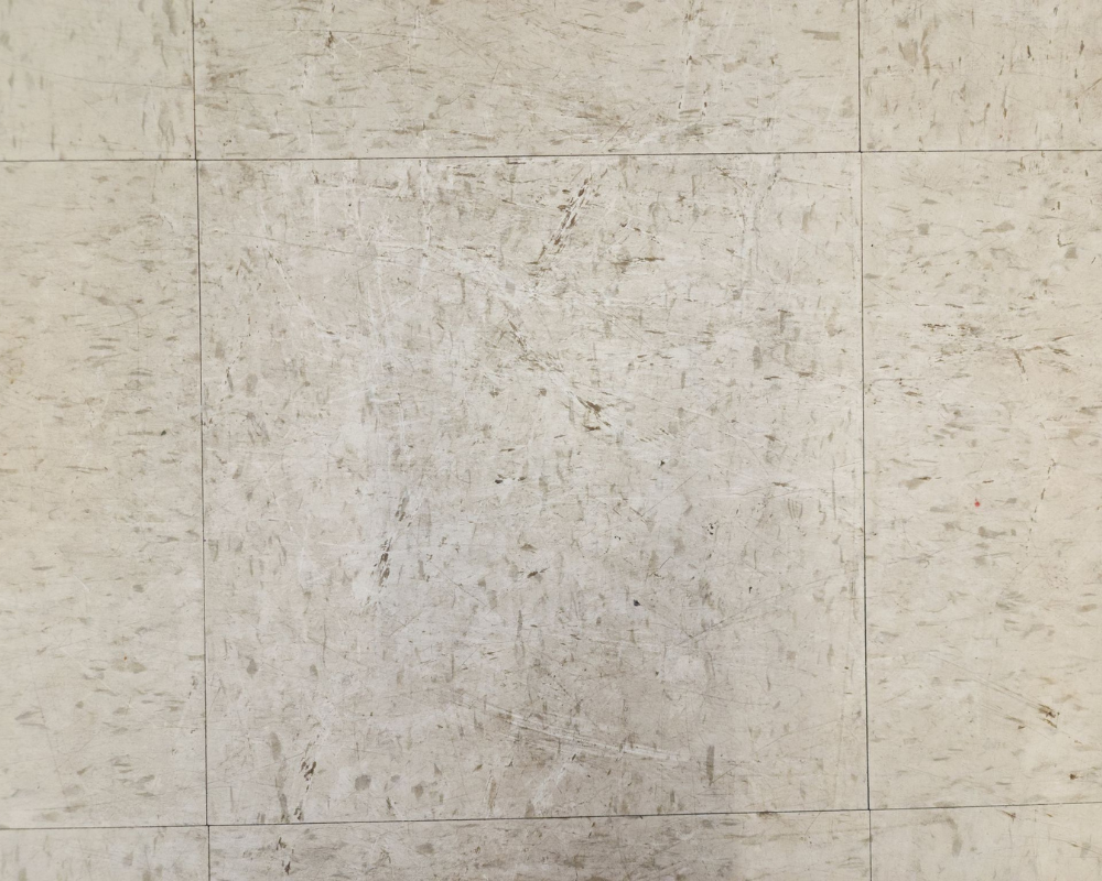 Our Gallery | Powerbug | New York, Los Angles and Chicago