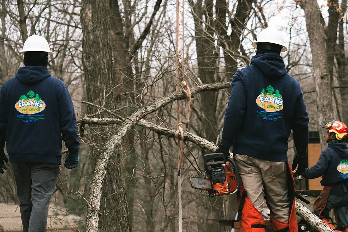 Commercial & Residential Tree Service | Frank's | Cedar Rapids