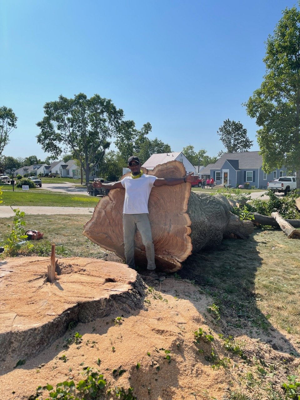 Gallery | Frank's Tree Service: Tree Service