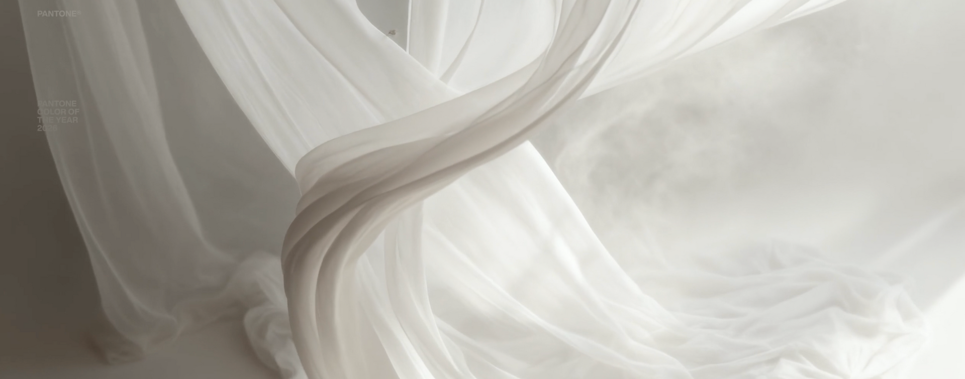 Our Take on Pantone’s Color of the Year: Cloud Dancer