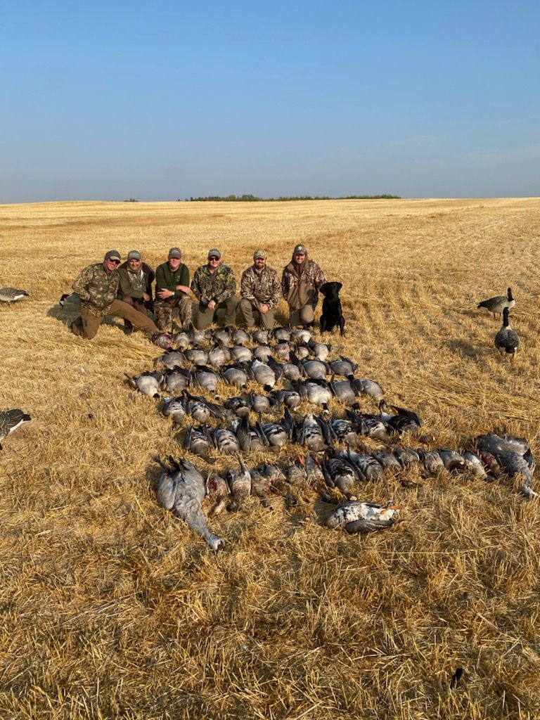 Goose Hunting in Alberta | Hunts | Northern Prairie Outfitters