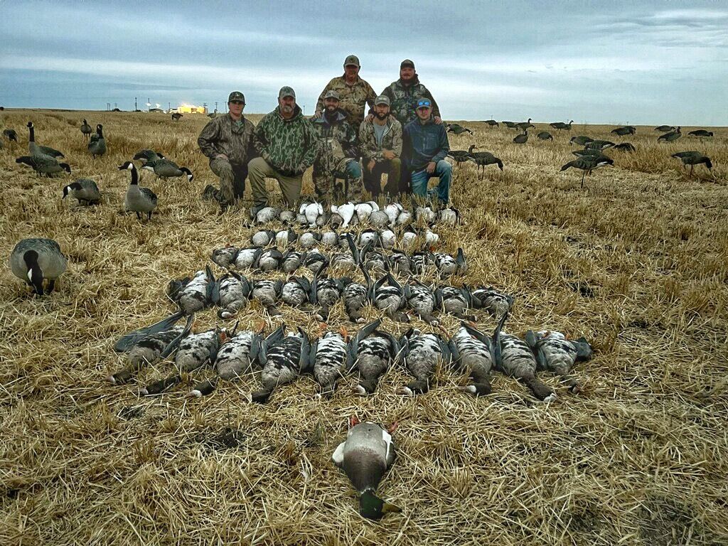 Goose Hunting in Alberta | Hunts | Northern Prairie Outfitters
