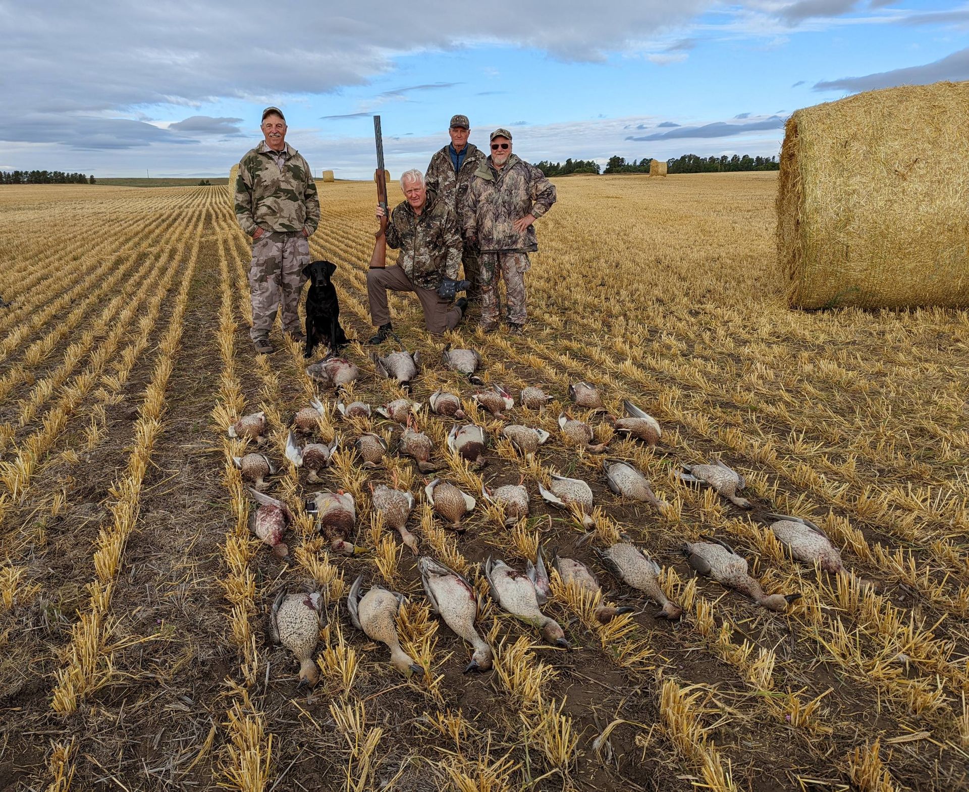 Goose Hunting in Alberta | Hunts | Northern Prairie Outfitters