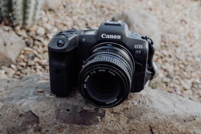 The 10 Best Canon Cameras for Photography in 2024