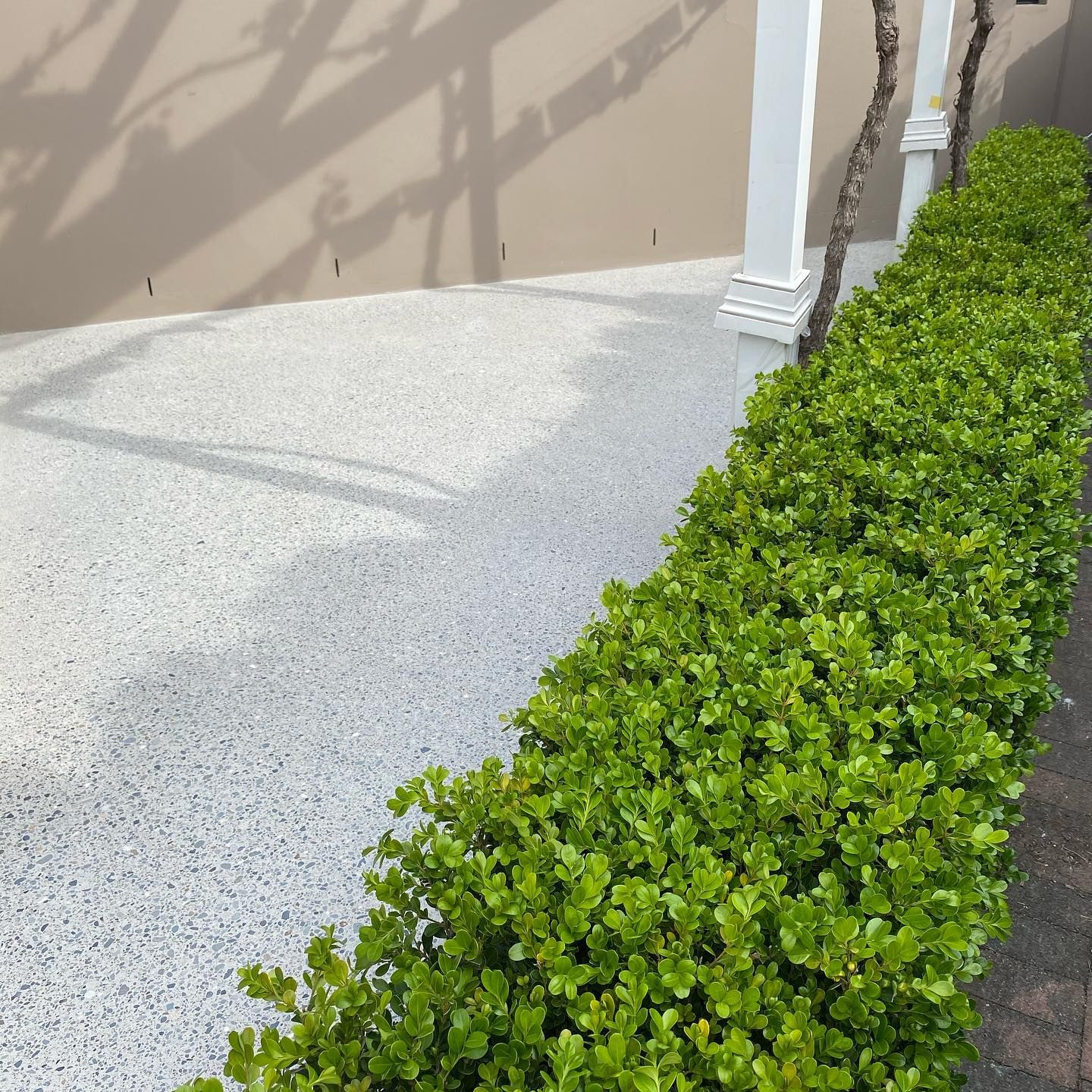 Concrete Finishes | Newcastle, NSW | Crete Kings
