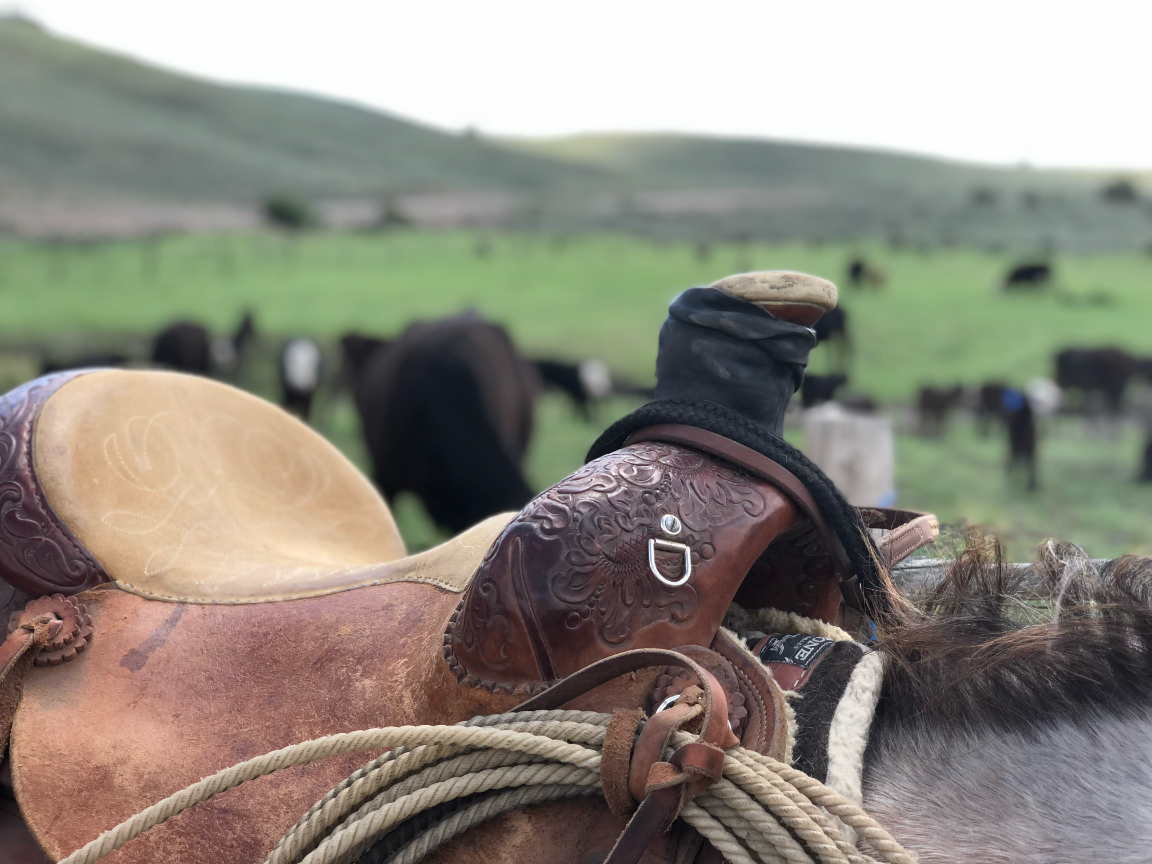 Home Page for Central Oregon Rancher Magazine