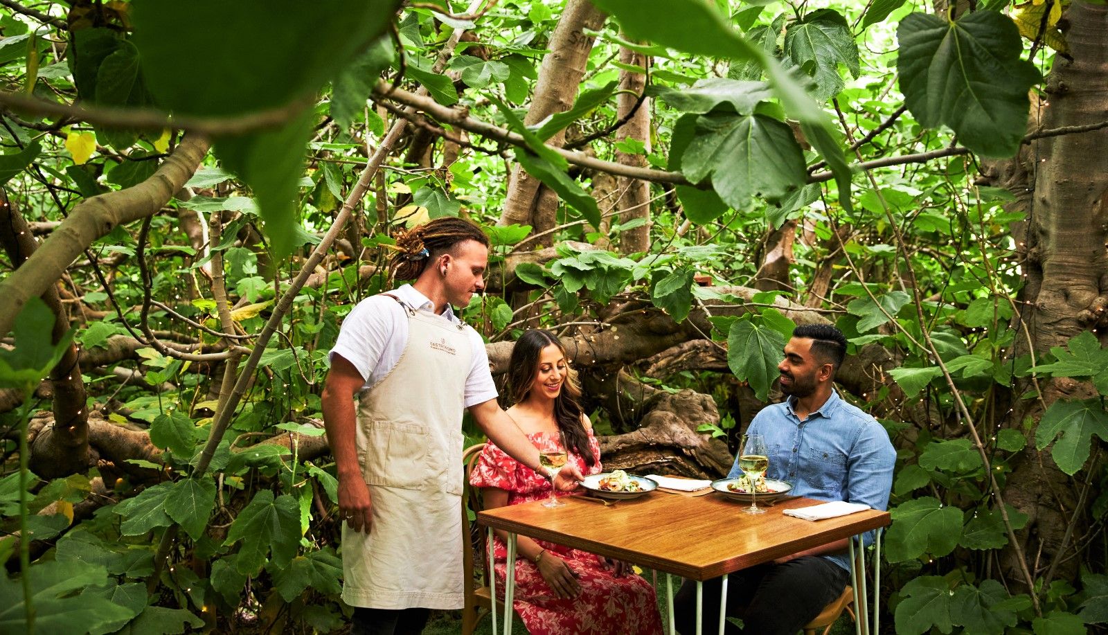 The Enchanted Fig tree