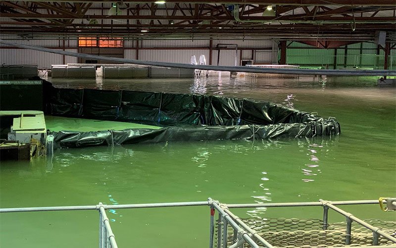 Engineering Specs & Technical Documentation