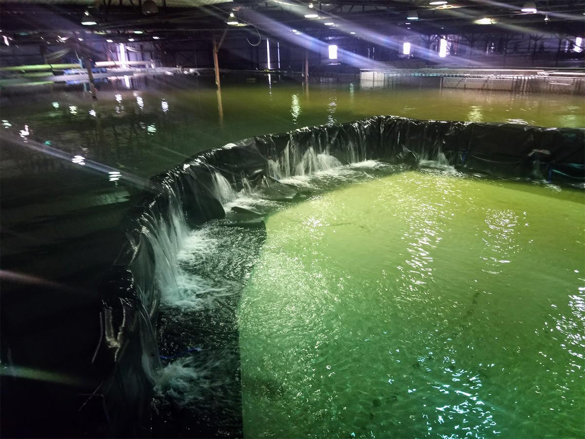 FM Approved Flood Barriers | 4-Foot Certification