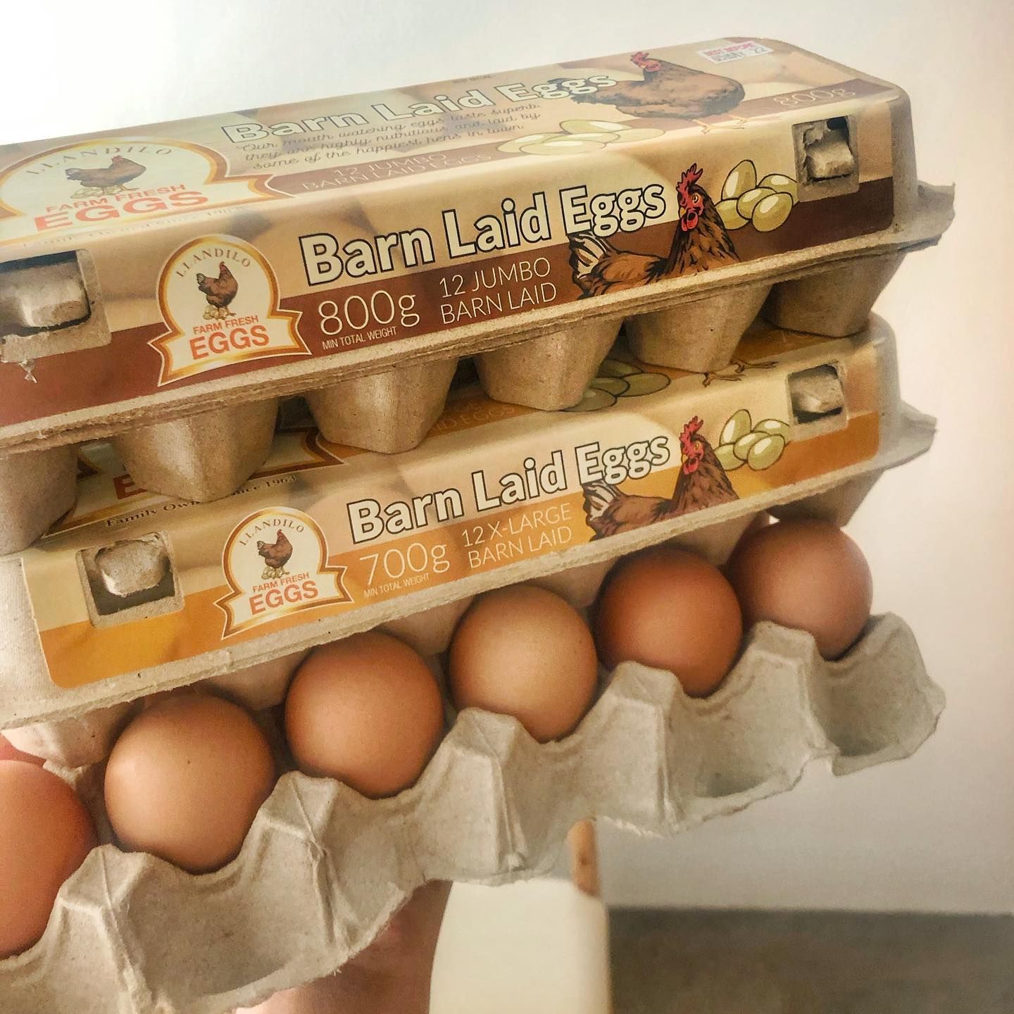 Gallery | Llandilo, NSW | Llandilo Farm Fresh Eggs