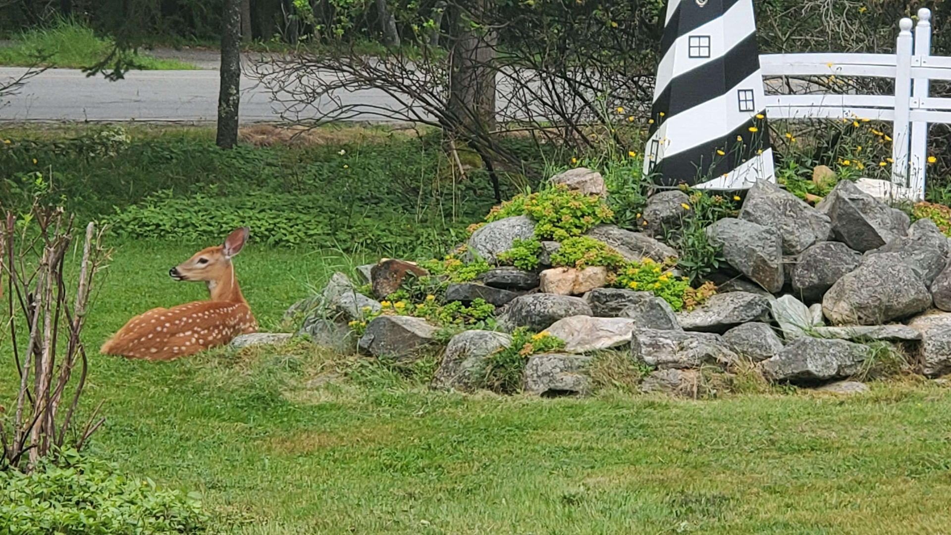 Lighthouse Cabins | A cozy one