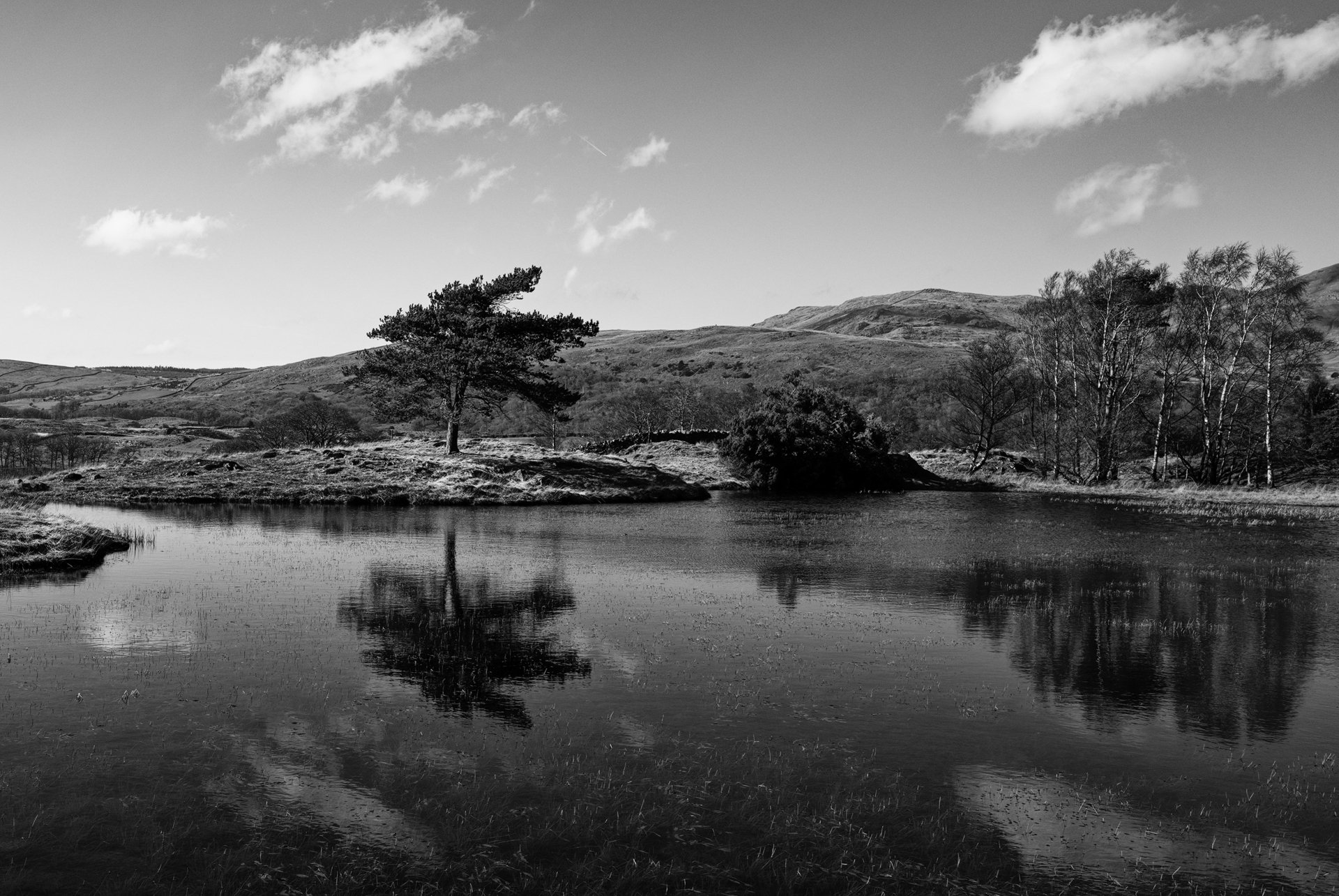 Lake District Workshops