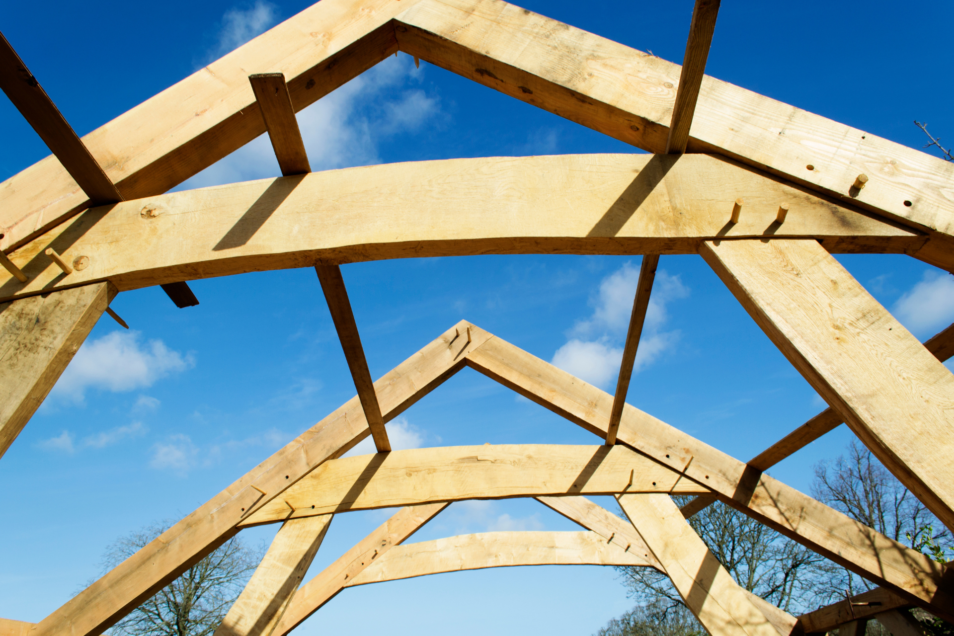 The Modern Timber Frame Revolution in Haliburton Ontario