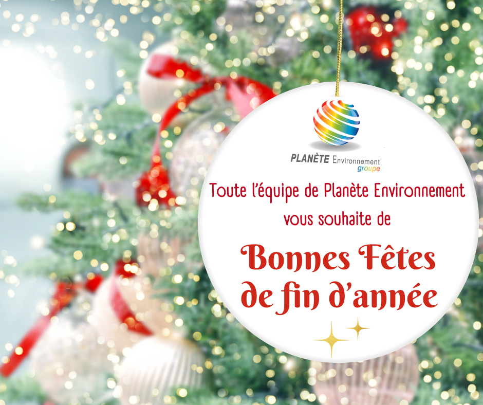 BONNES FETES DE FIN D'ANNEE