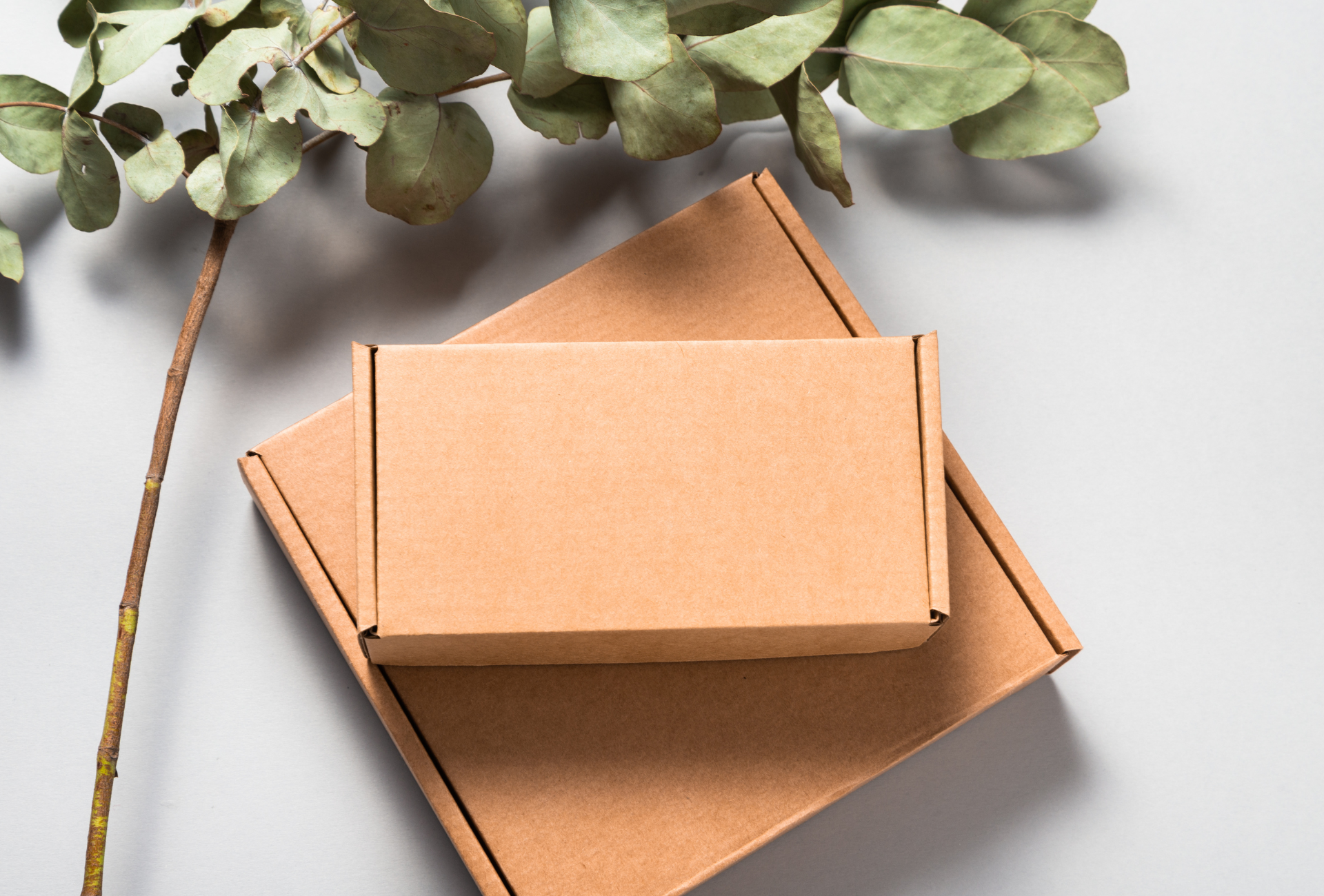 High-quality Packaging Solutions | Aspen Packaging & Forest Products